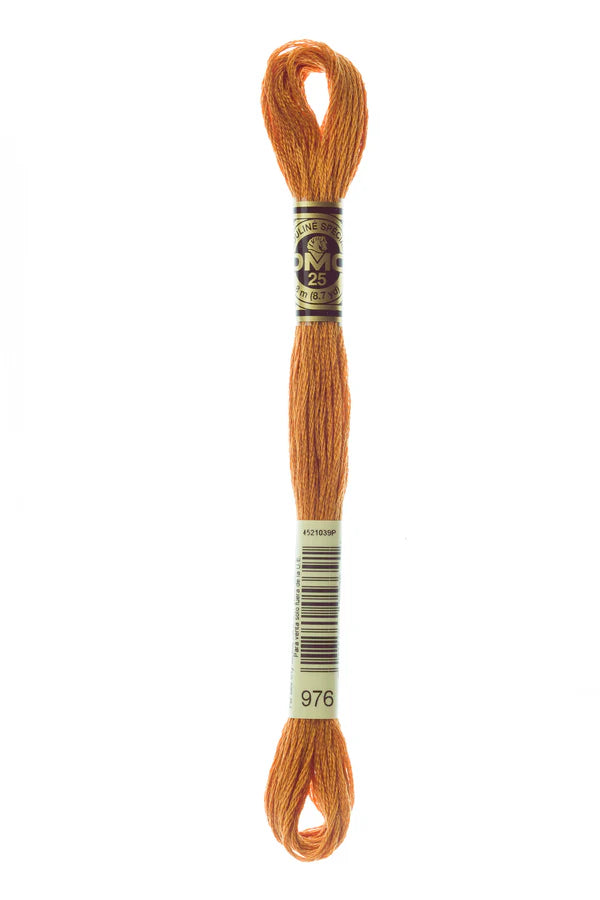 DMC - 6 Strand Floss - Color 976 - Nutmeg – Humble Stitch
